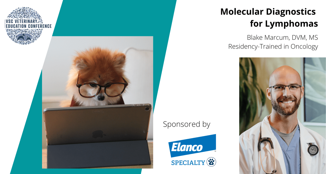 On-Demand Webinars - Veterinary Specialty Center