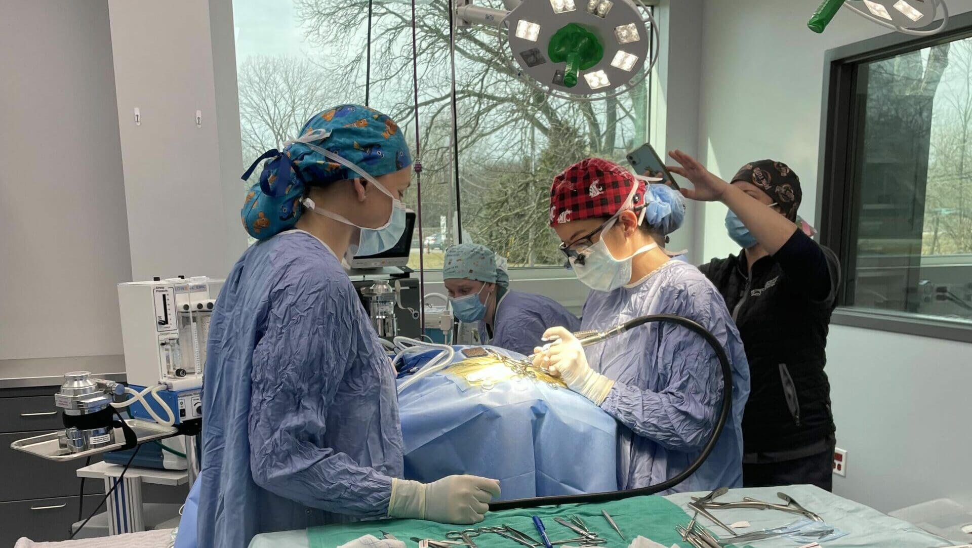 Neurology/Neurosurgery - Veterinary Specialty Center