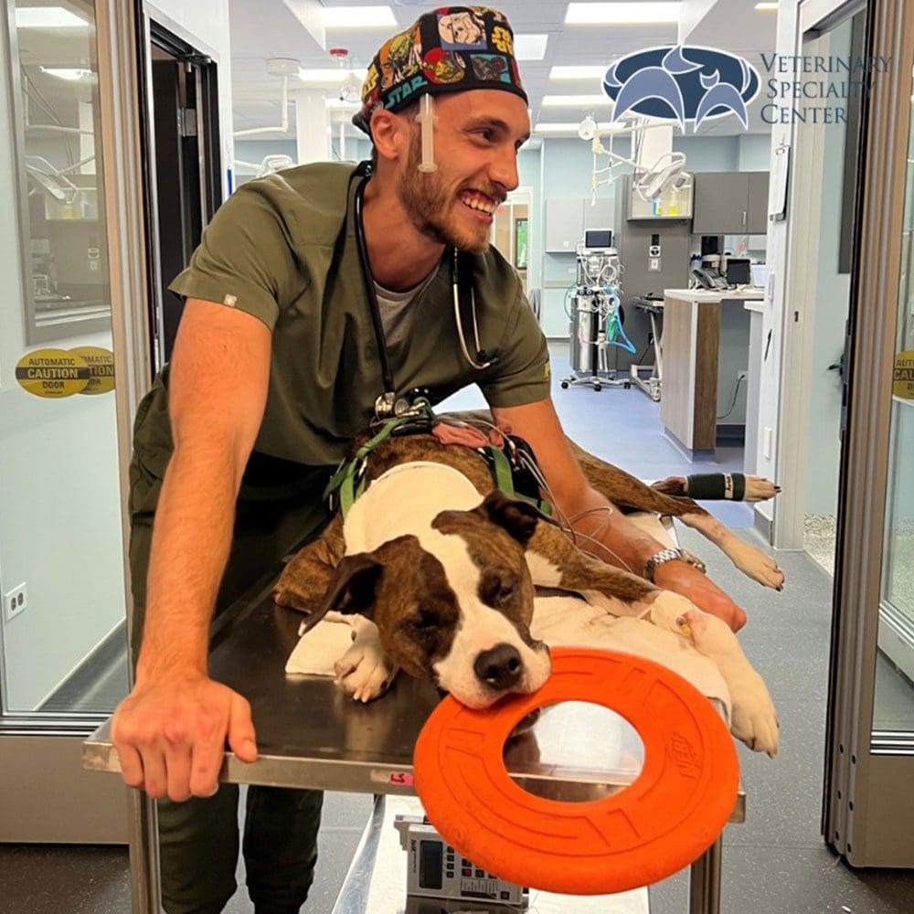 Community Involvement | Veterinary Specialty Center